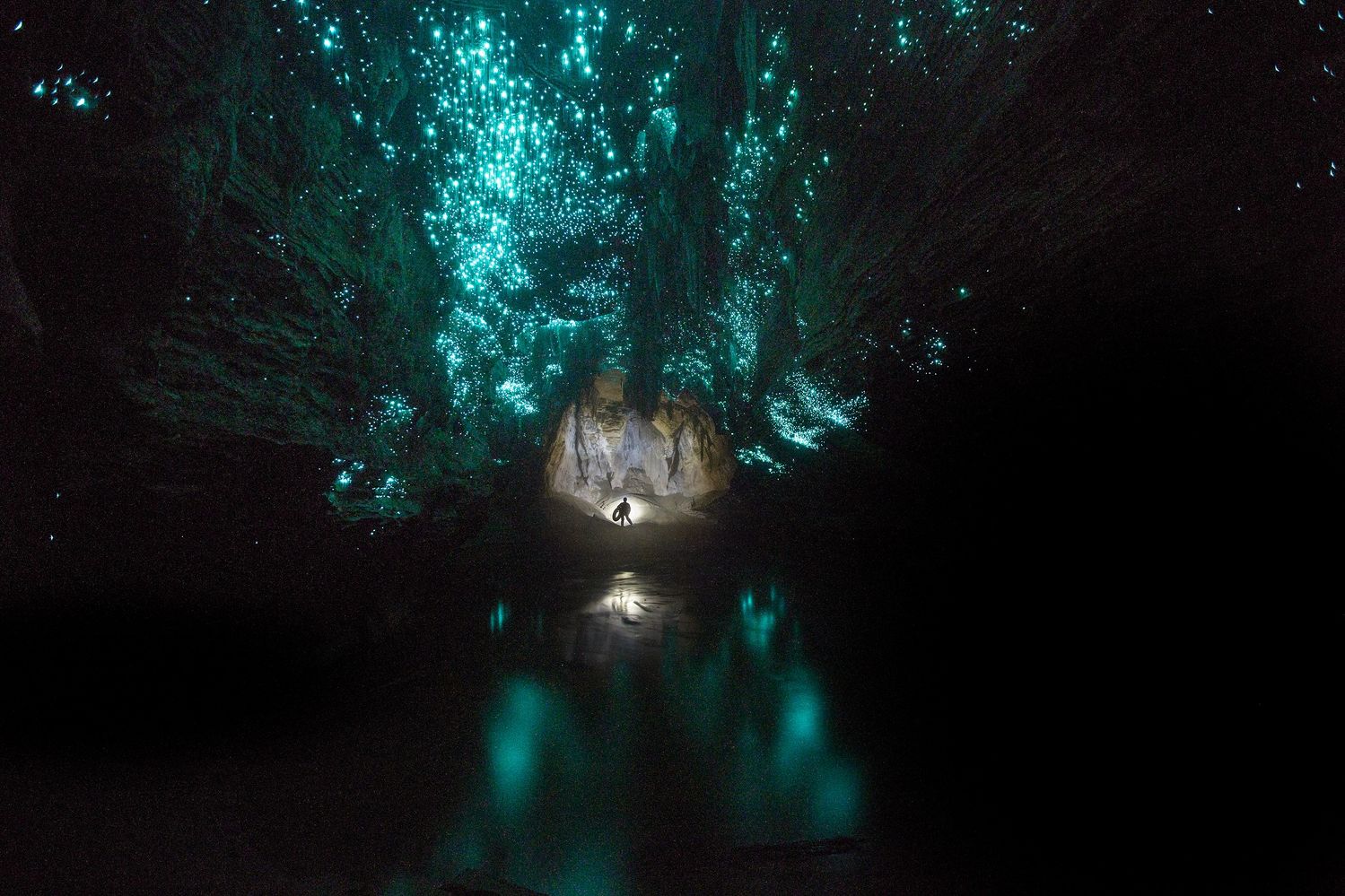 4 Hour Blackwater Rafting Tour | Waitomo Blackwater Rafting | Caving ...